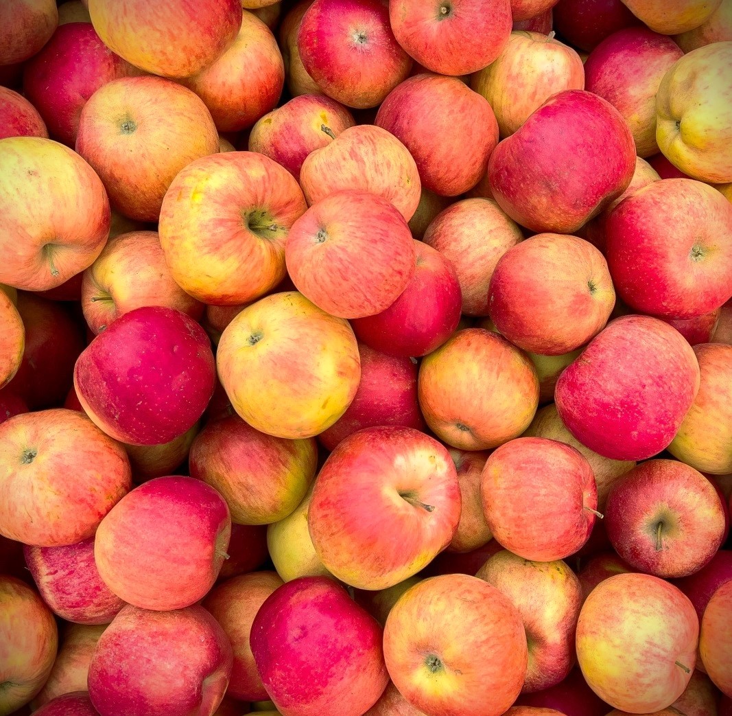 Conclusa la trattativa per la revisione del Protocollo d’intesa per l ...